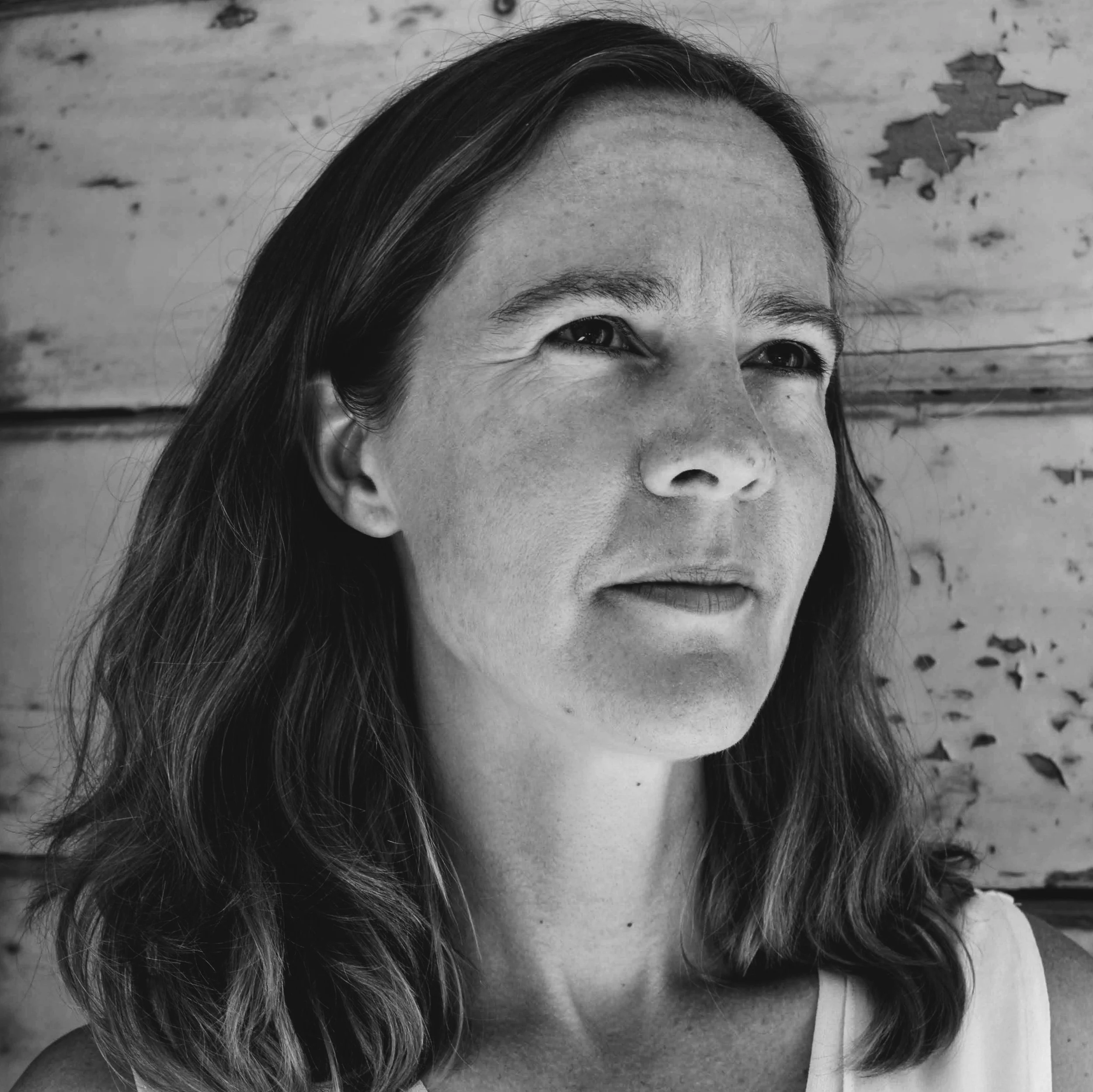 Store — To the Lighthouse