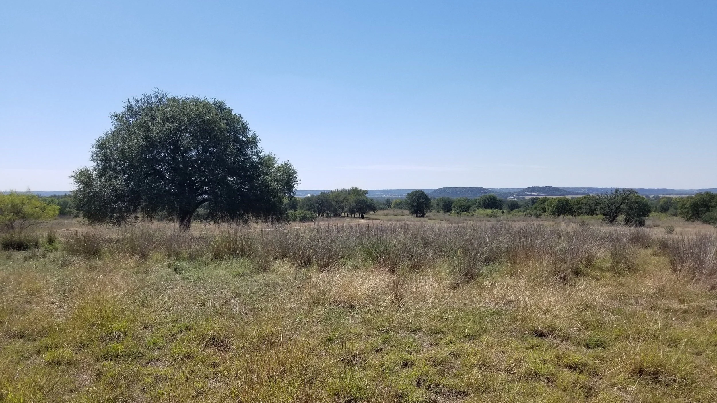 6,322 Acres of Rangeland and Wildlife Habitat Protected Forever ...