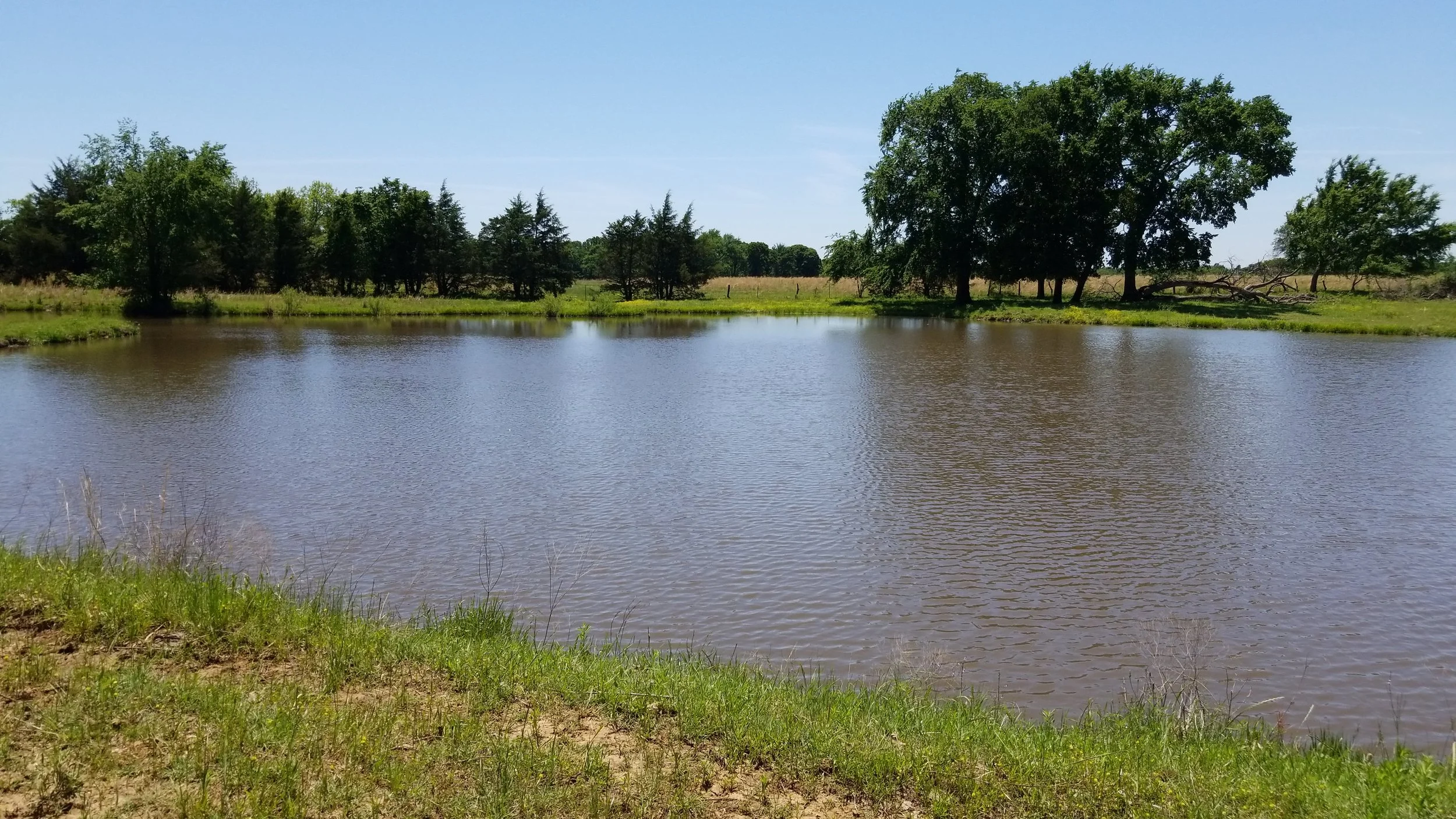 411 Acres of North Texas Rangeland and Wildlife Habitat Protected ...