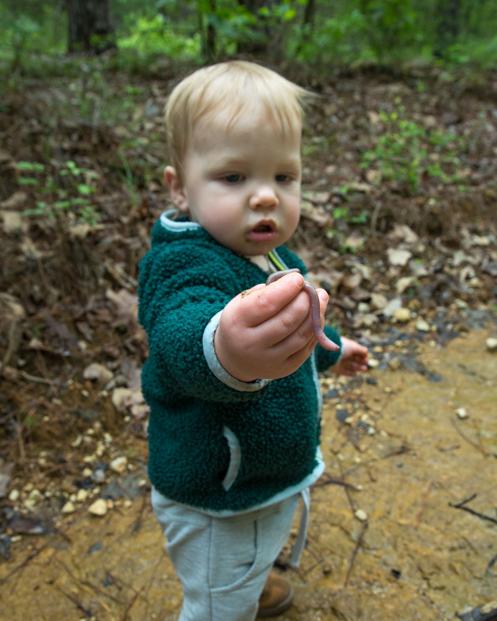 The Boys of Ivys — Texas Land Conservancy