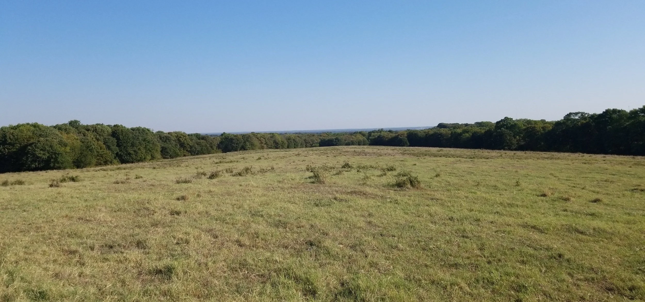 411 Acres of North Texas Rangeland and Wildlife Habitat Protected ...