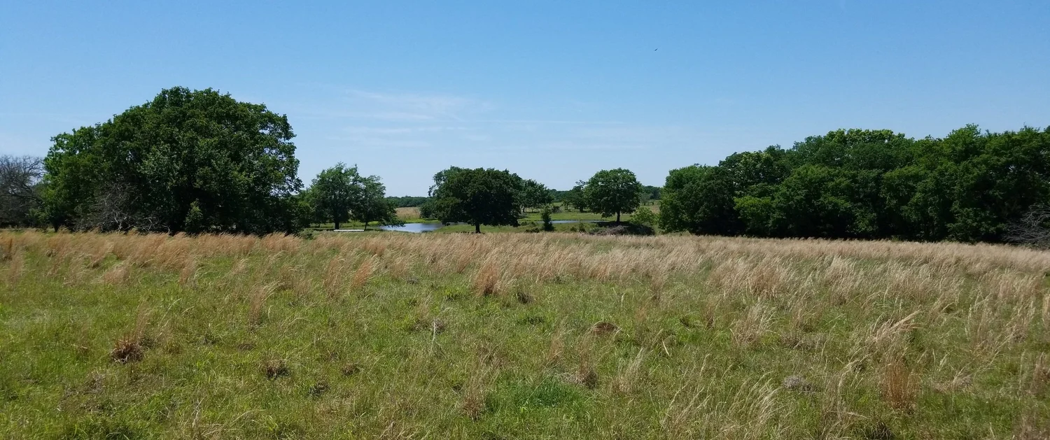 411 Acres of North Texas Rangeland and Wildlife Habitat Protected ...