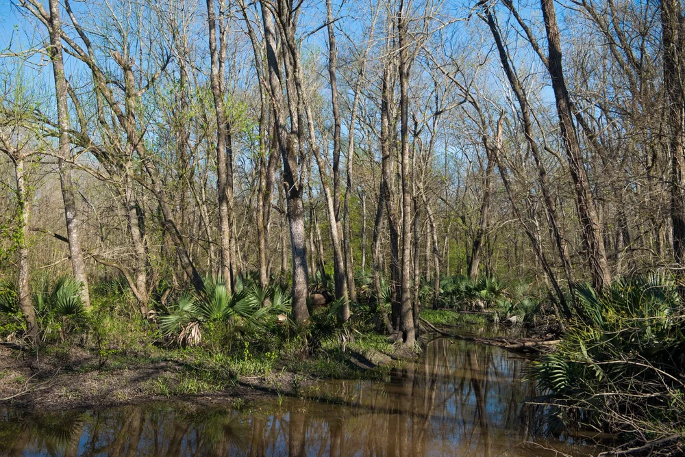 Wetland and Habitat Mitigation — Texas Land Conservancy