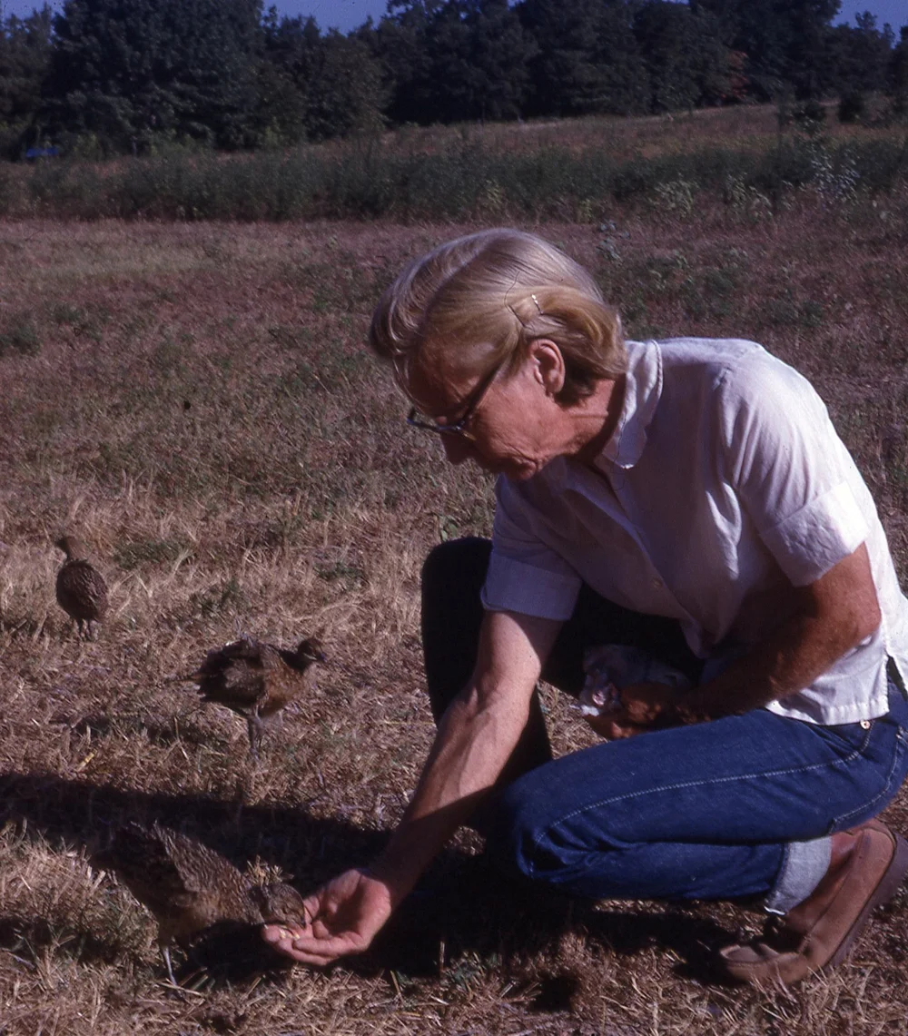 Ivy Payne Preserve: Continuing a Legacy of Conservation — Texas Land ...