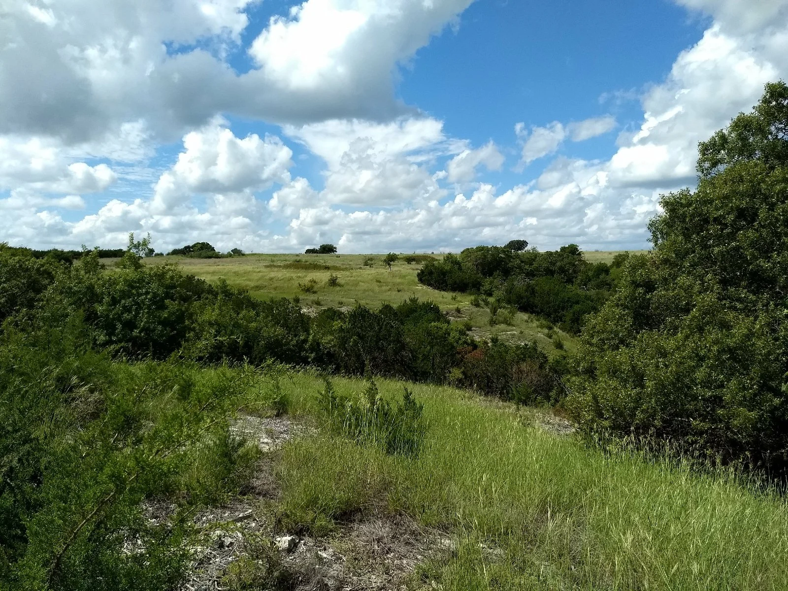 Texas Land Conservancy