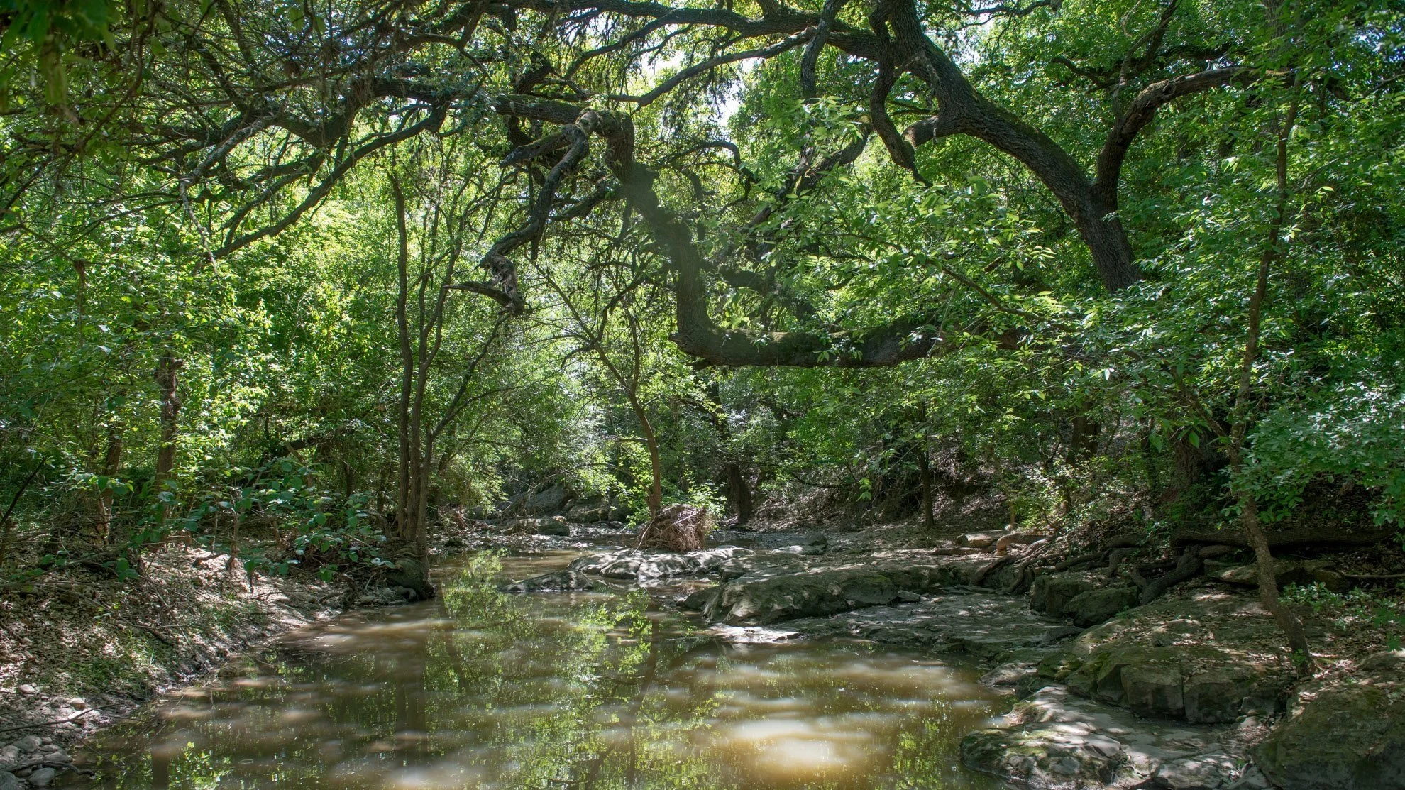 Cibolo Creek Preserve — Texas Land Conservancy