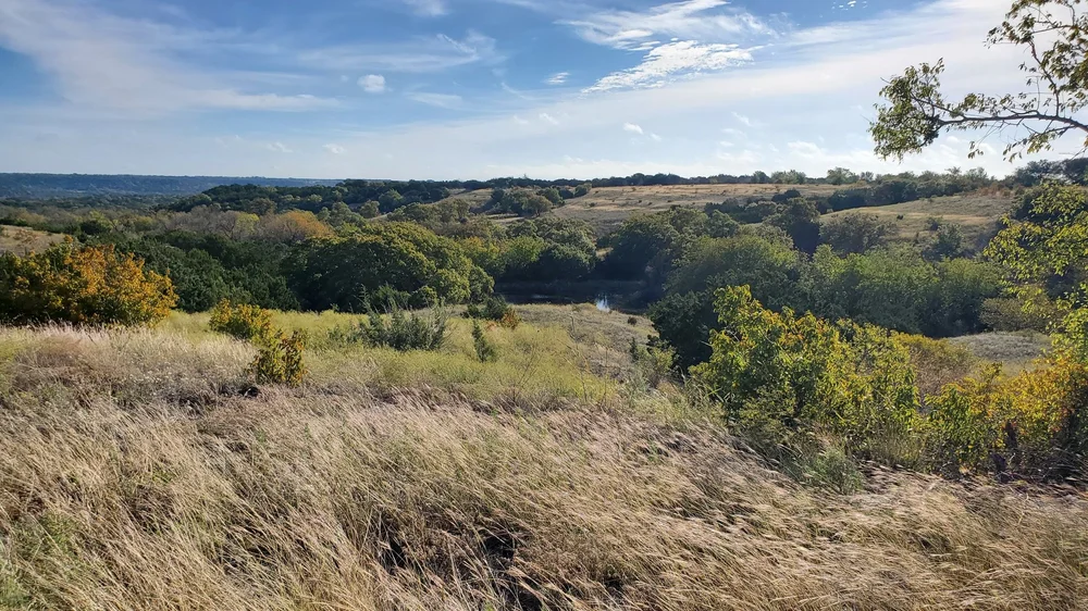 Texas Land Conservancy