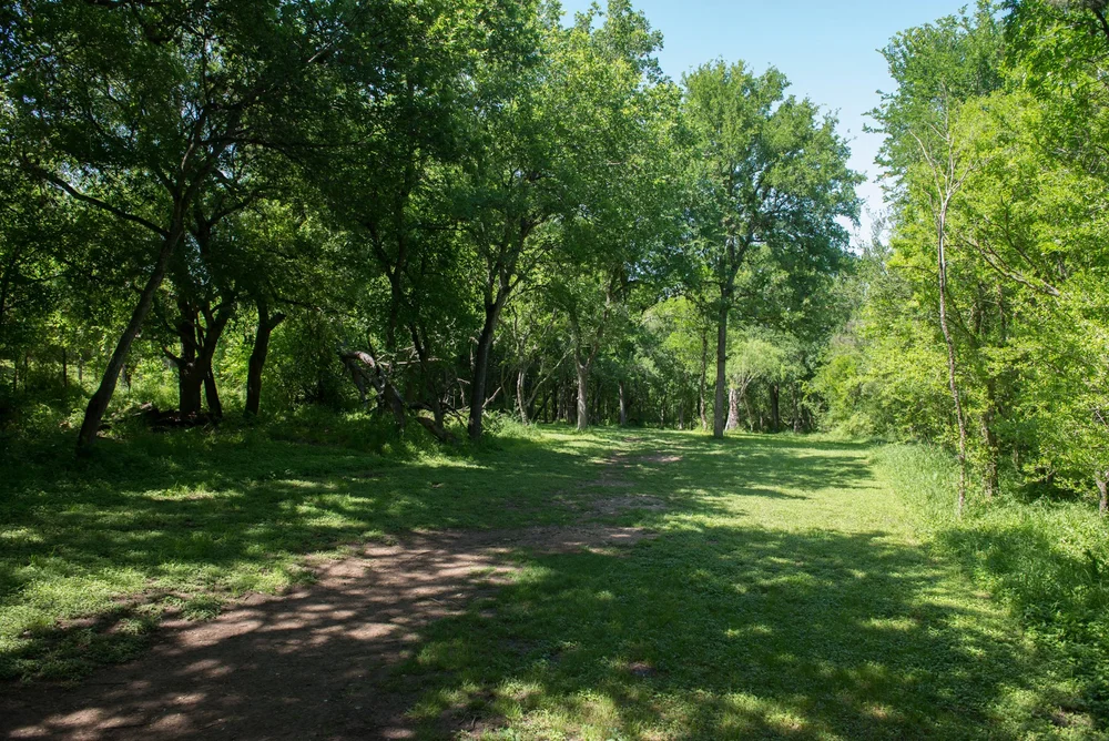 Cibolo Creek Preserve — Texas Land Conservancy