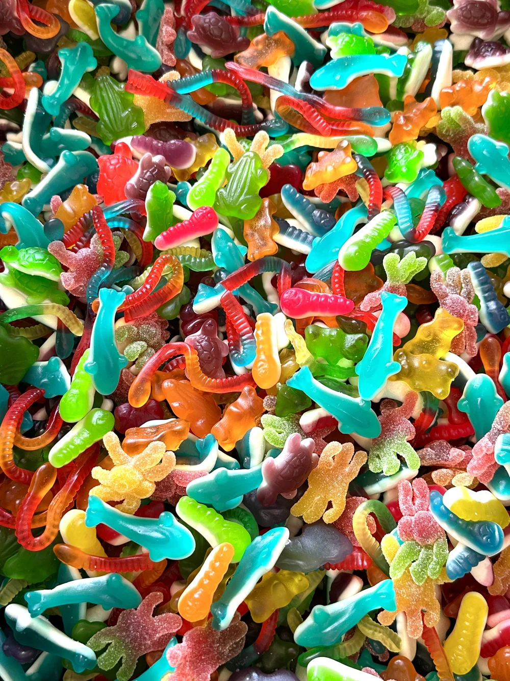 SHOP NOW — Lolly Drop NZ
