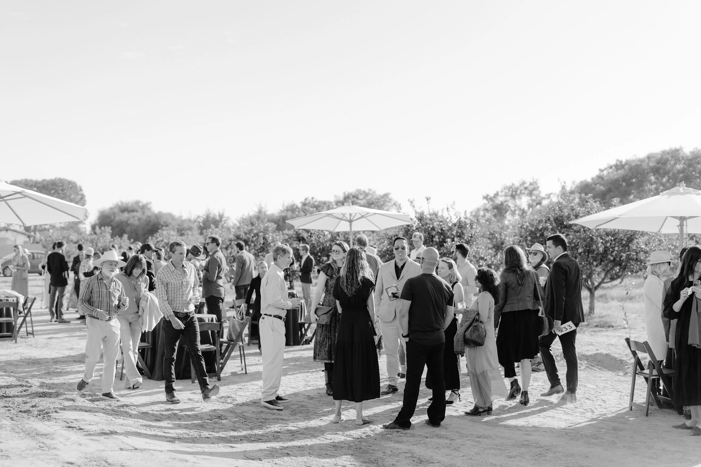 Meet Our Advisors — White Buffalo Land Trust