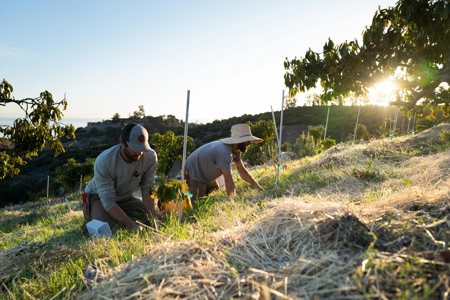 Our Story — White Buffalo Land Trust