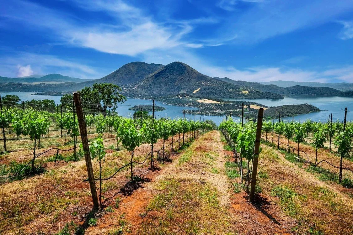 Events — Blackrock Wine Co.