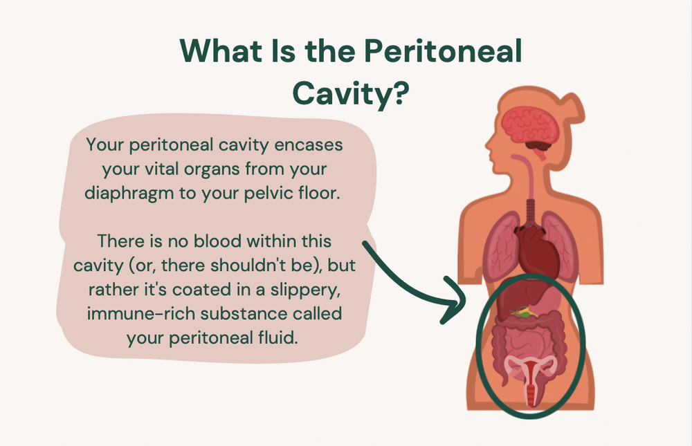 Understanding and Managing Endometriosis Symptoms — Core Recovery ...