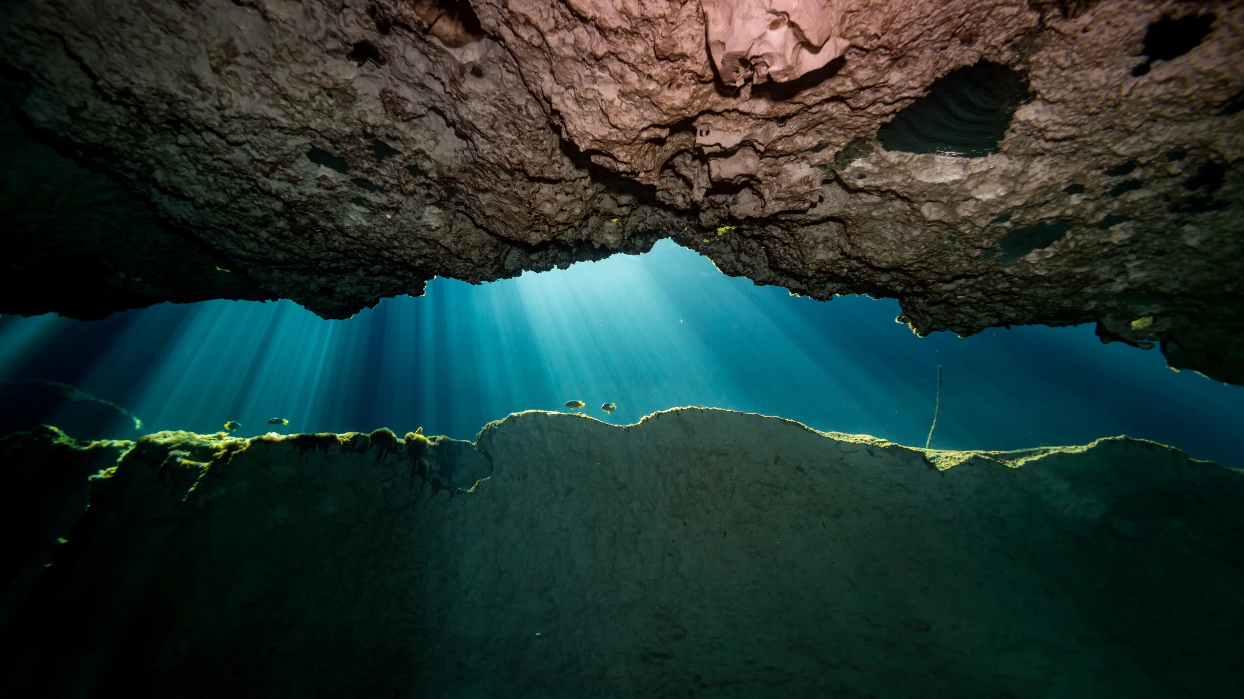 Ocean diving — Learn to dive — Diversity Diving