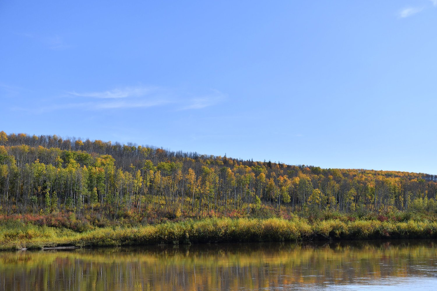 WHO WE ARE — Athabasca Tribal Council