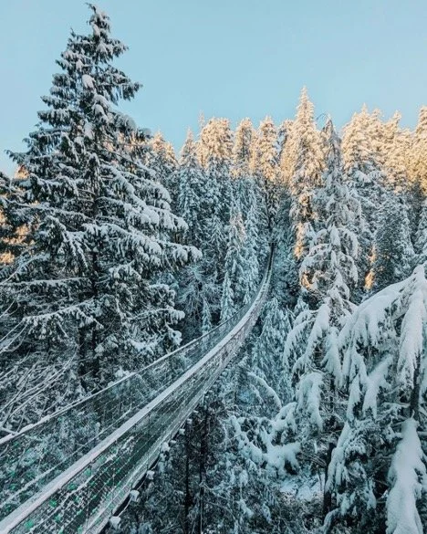 Capilano Suspension Bridge Winter