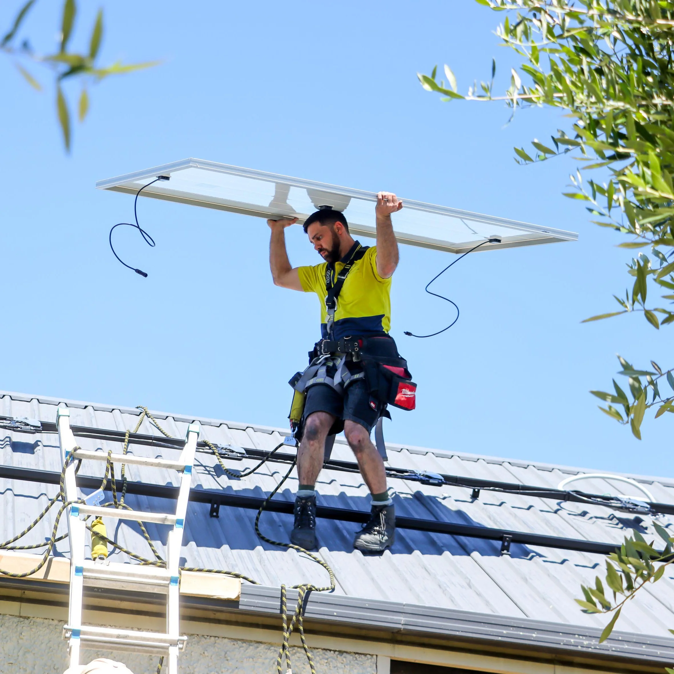 Trusted Electricians in Palmerston North | McNae Group