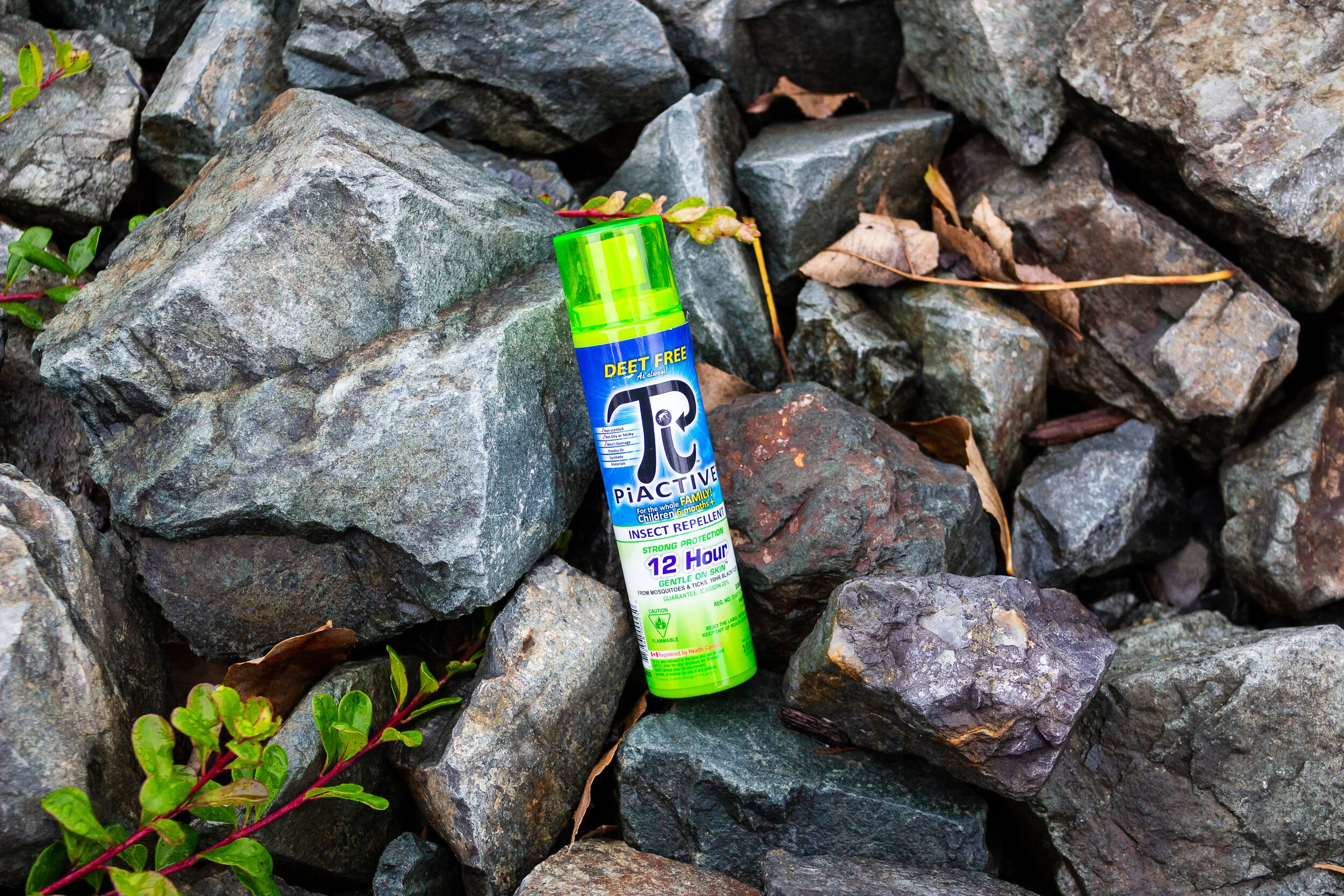 PiActive — G&G Brands