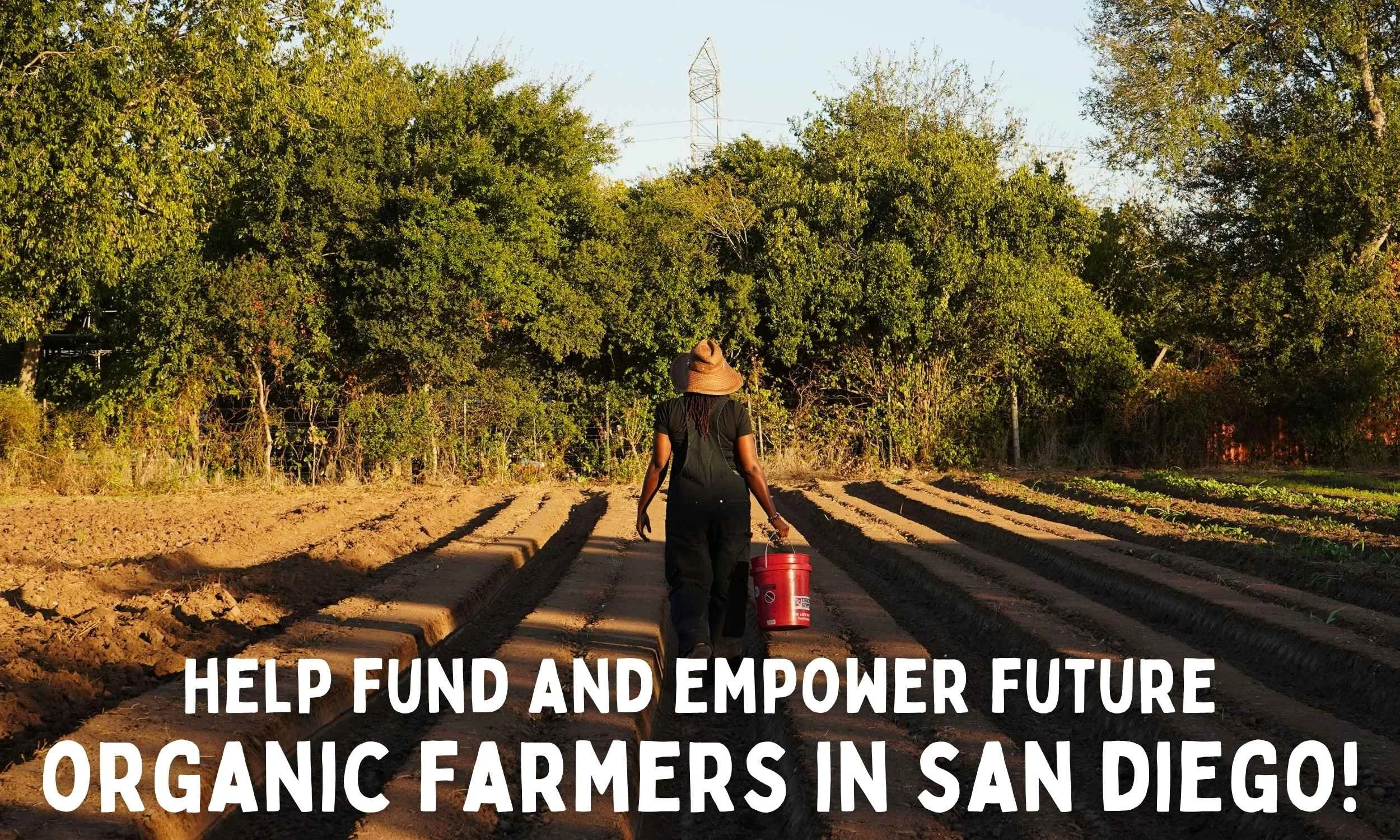 Round Up at the Register — OB People's Food Co-op | San Diego's ...