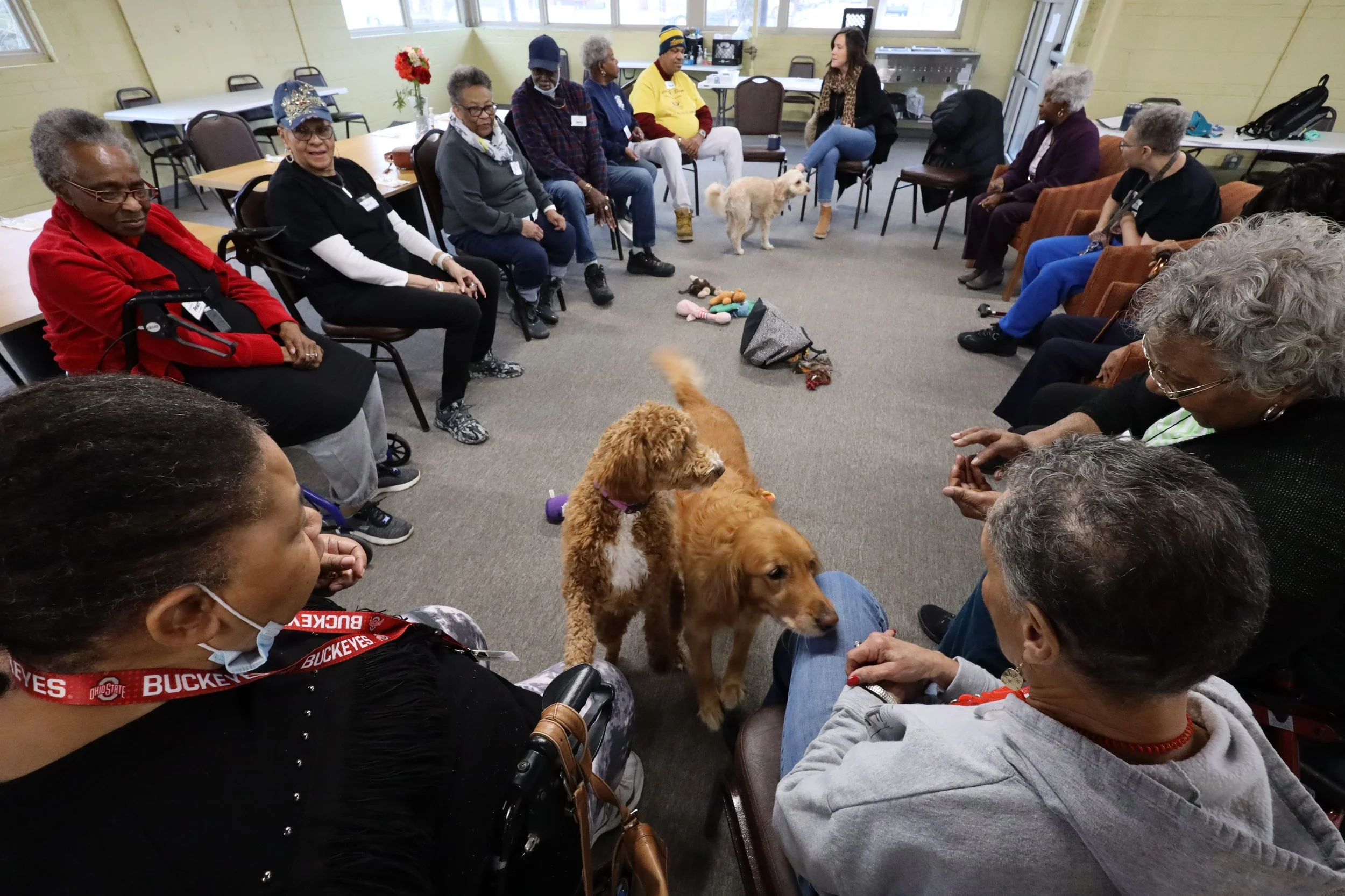 About — Animal Companion Counseling