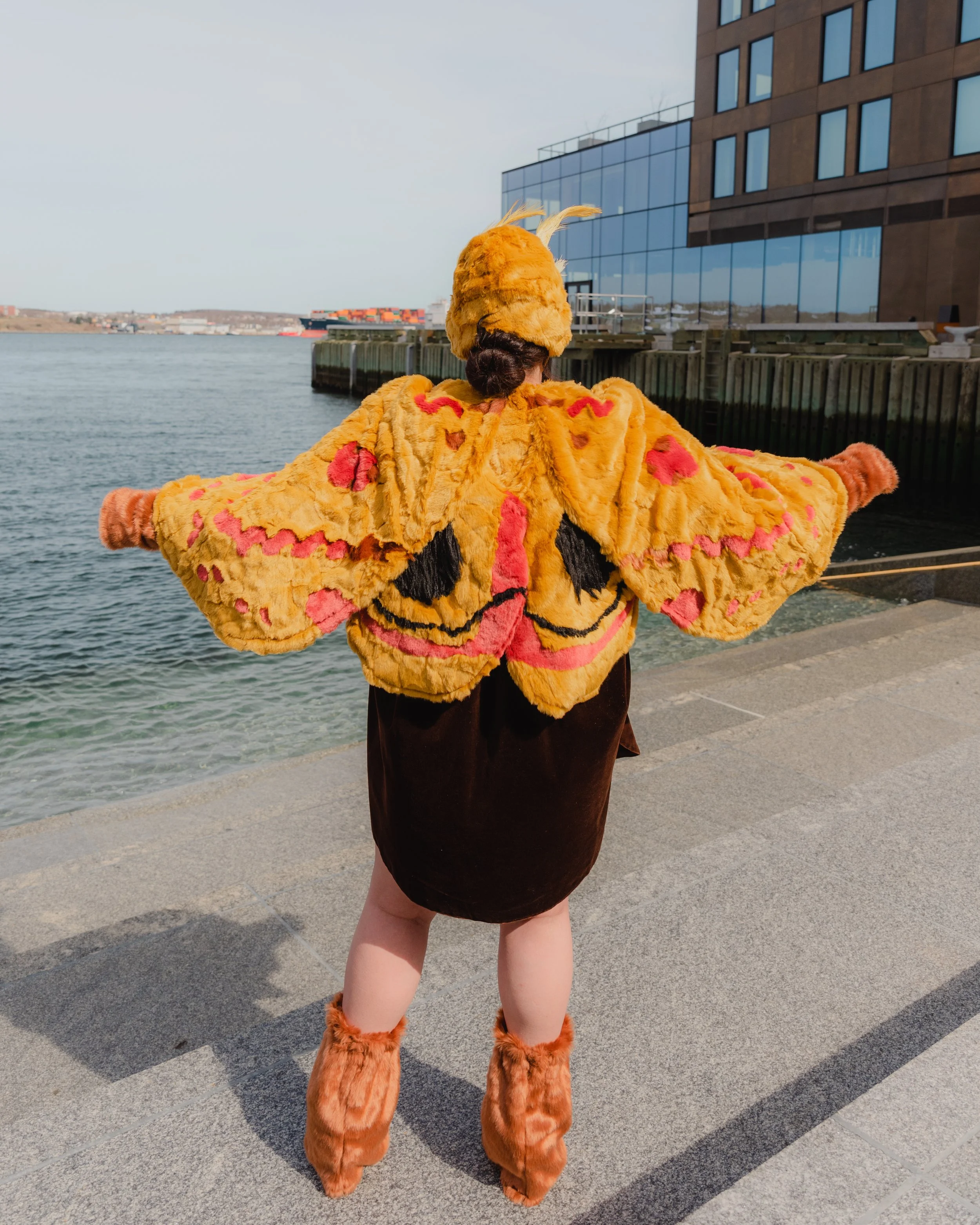 Moth Collection — Alexandria Masse