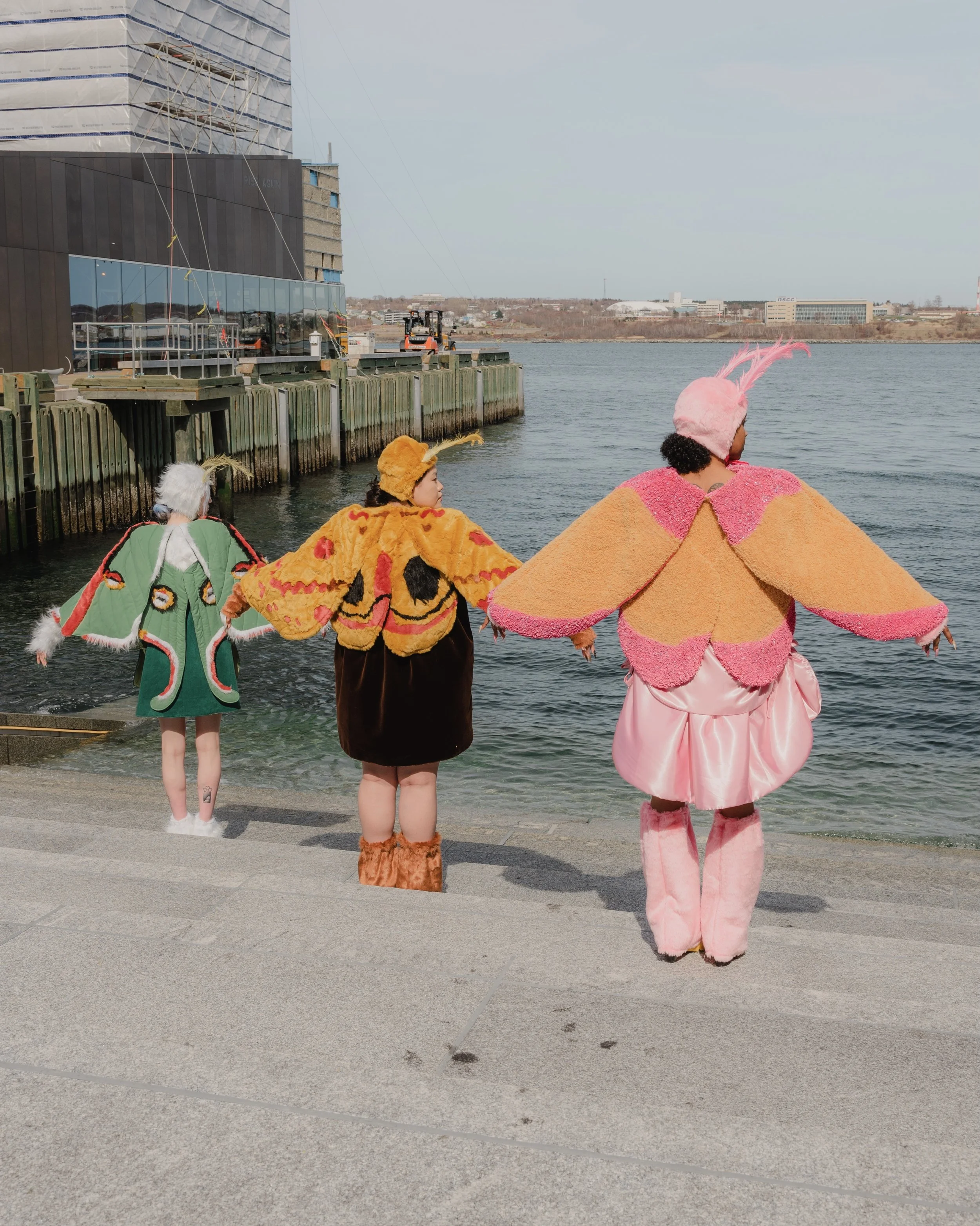 Moth Collection — Alexandria Masse