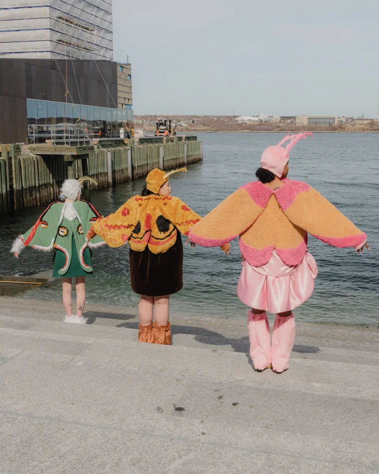 Moth Collection — Alexandria Masse