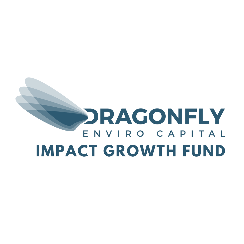 Investors — Dragonfly Enviro Capital
