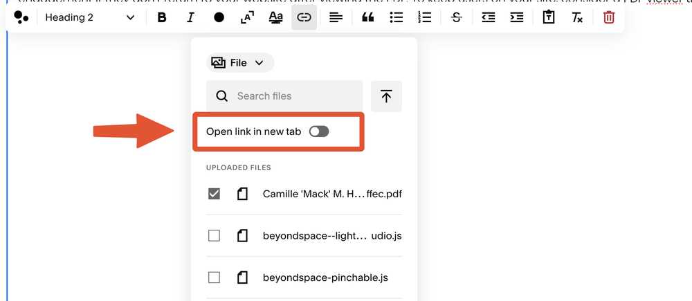 How to embed PDF on Squarespace: A complete tutorial — Beyondspace