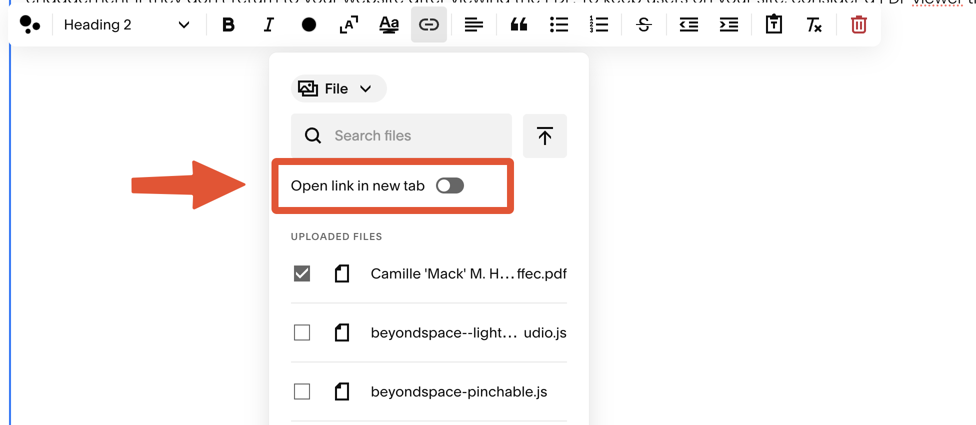 How to embed PDF on Squarespace: A complete tutorial — Beyondspace