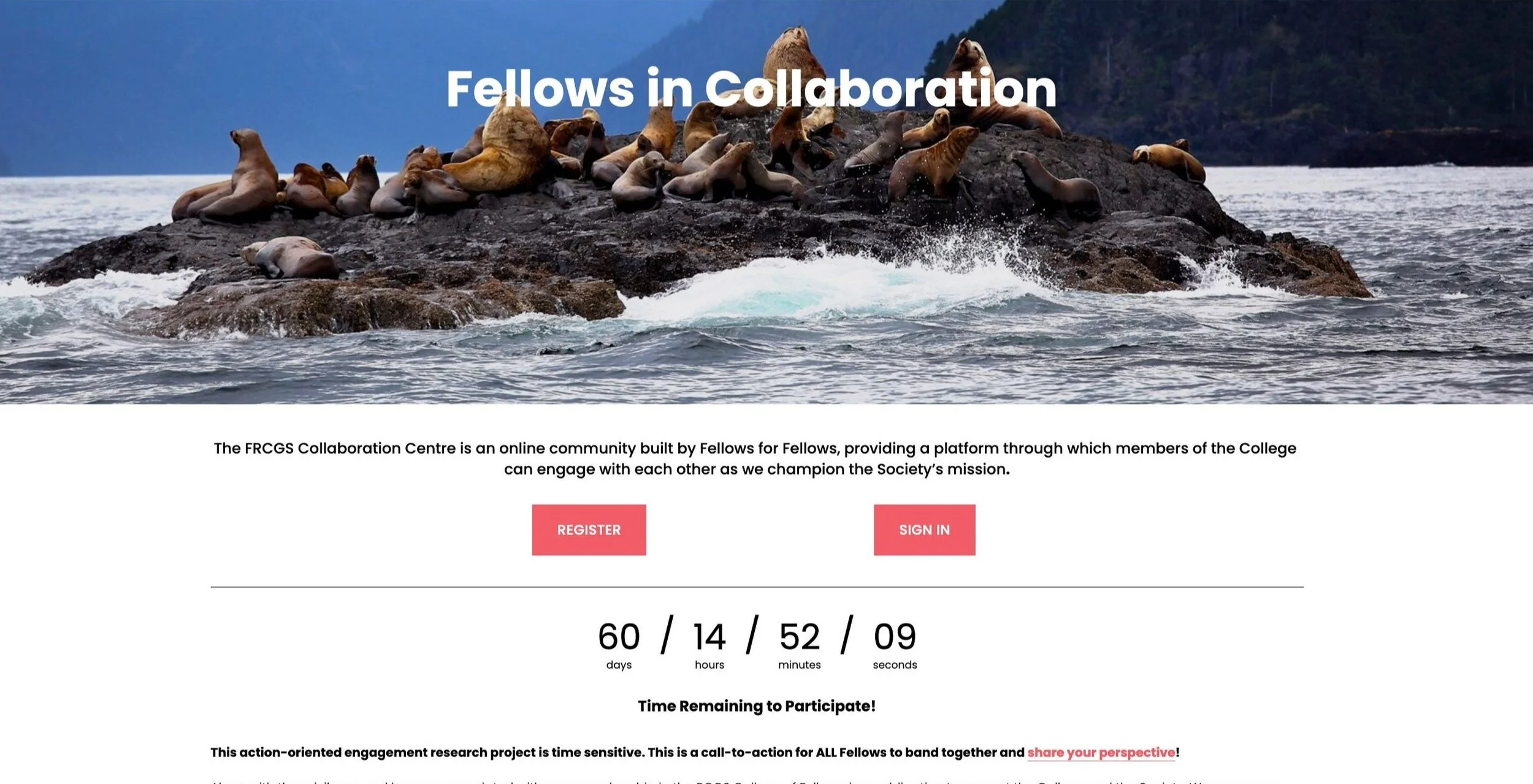 Adding a Squarespace countdown timer — Beyondspace