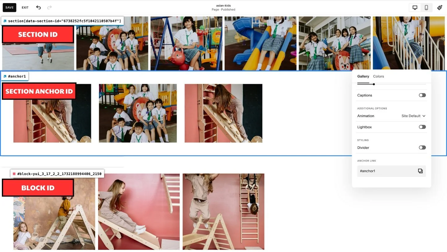 Elevating Dynamic Galleries with Lightboxify URLs — Beyondspace