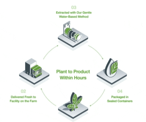 Implement Sequence Scrolling Animation On Squarespace — Beyondspace