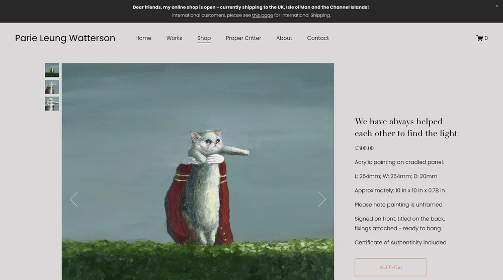 Enhance art portfolio website with advanced lightbox features — Beyondspace