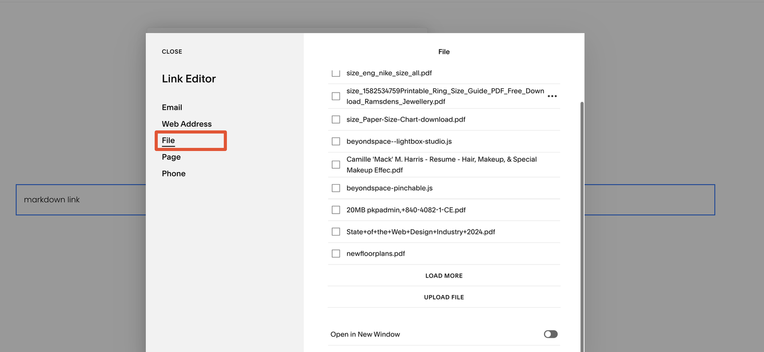 How to upload and manage Files on Squarespace — Beyondspace