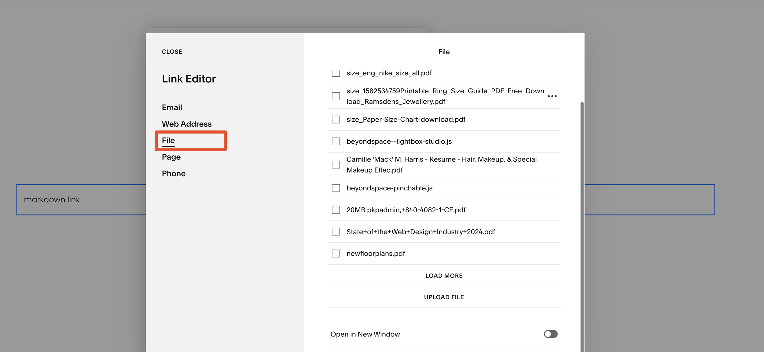How to upload and manage Files on Squarespace — Beyondspace