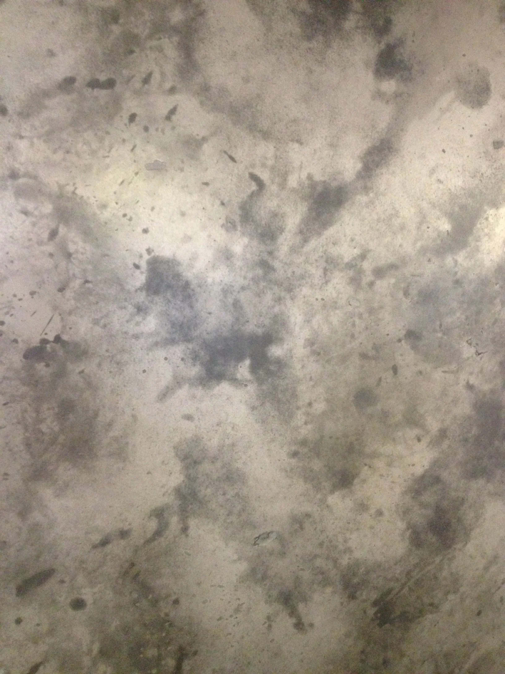 Specialist Finishes — Anka Bespoke