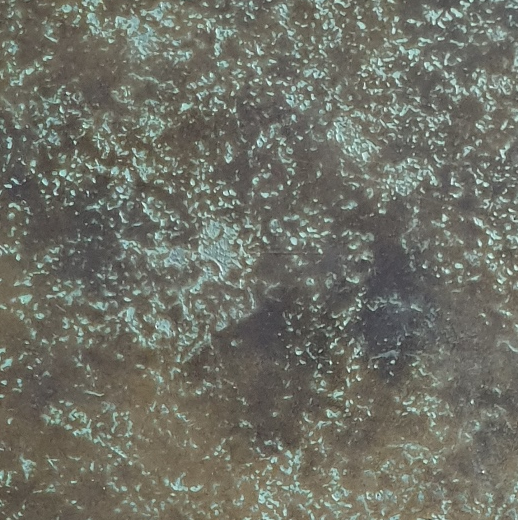 Specialist Finishes — Anka Bespoke