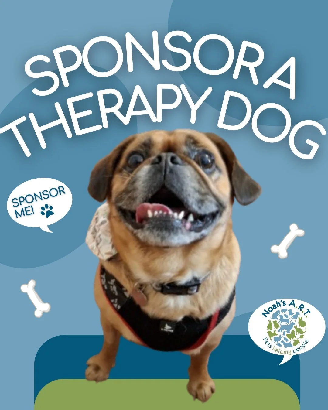 Animal Bones Therapy