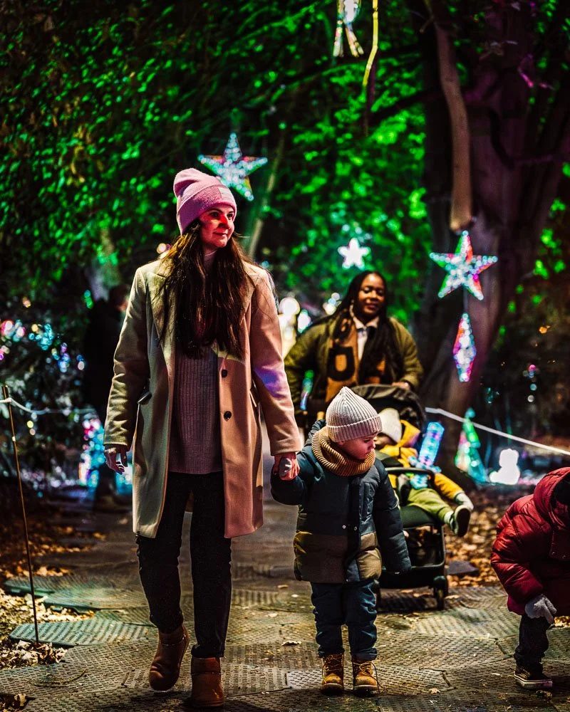 Northampton — Winter Light Trail