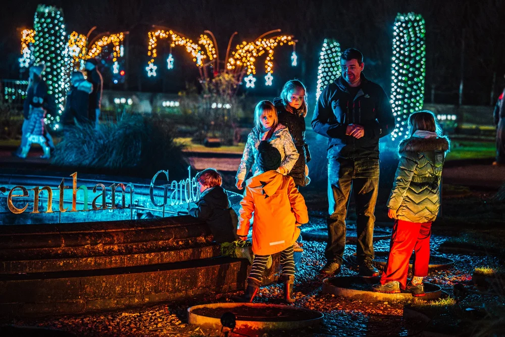 Trentham 2025 — Winter Light Trail