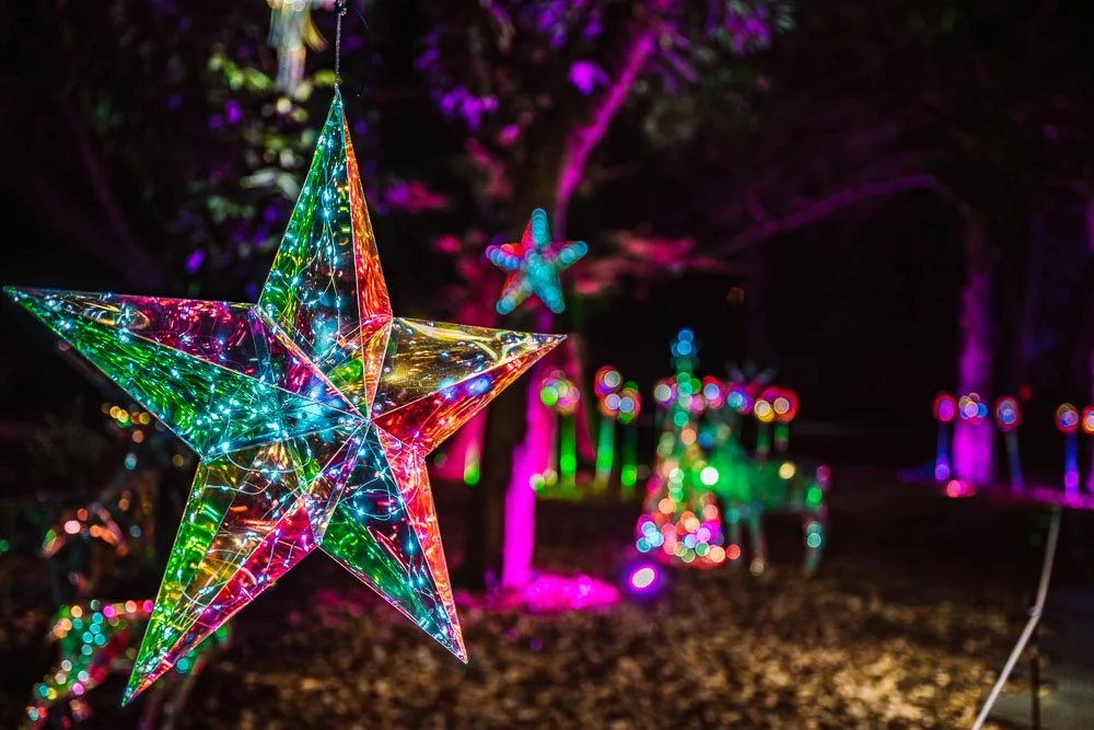 Northampton — Winter Light Trail