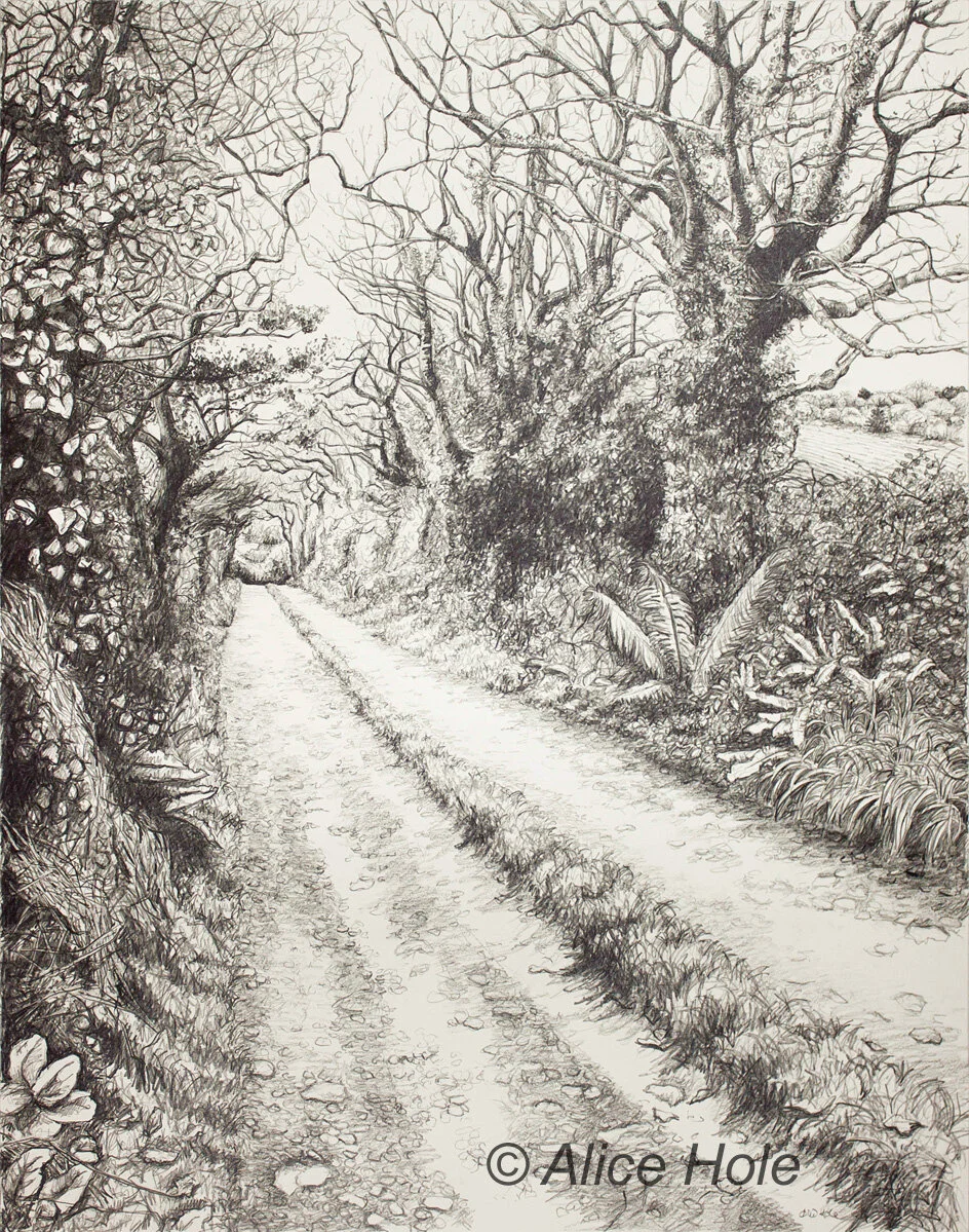 'Through the Trees Darkly' — Alice Hole - Artist