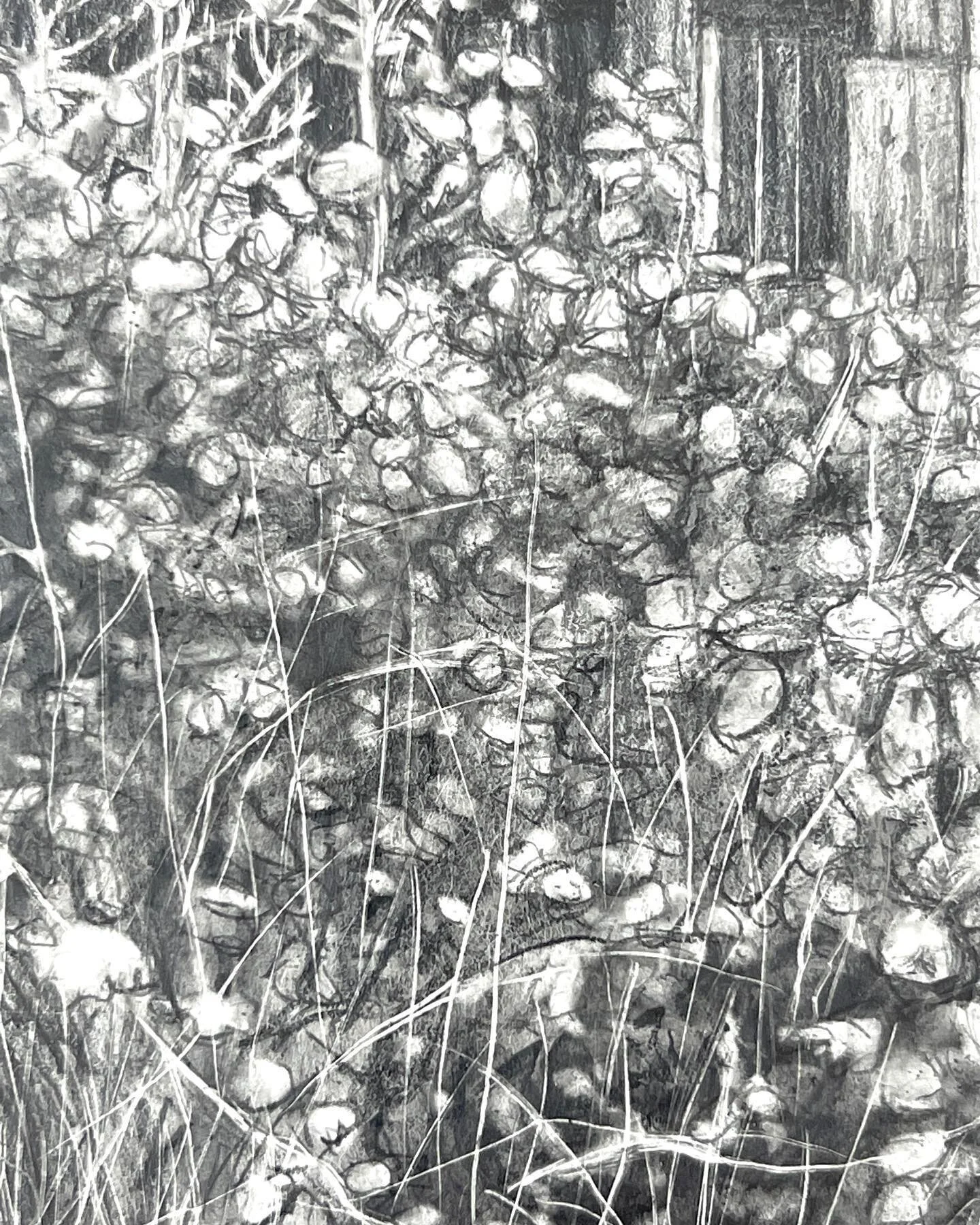 Alice Hole - Artist