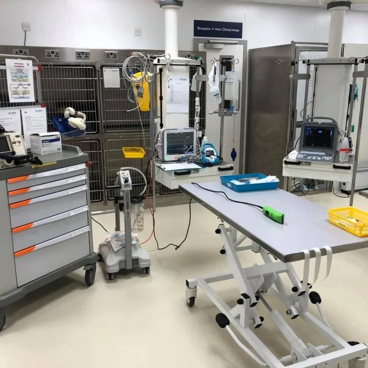 How to prepare for cardiopulmonary resuscitation — Veterinary Internal ...