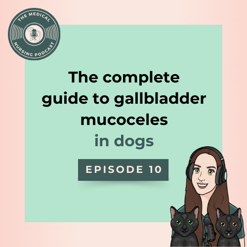 10 | The complete guide to gallbladder mucoceles in dogs — Veterinary ...