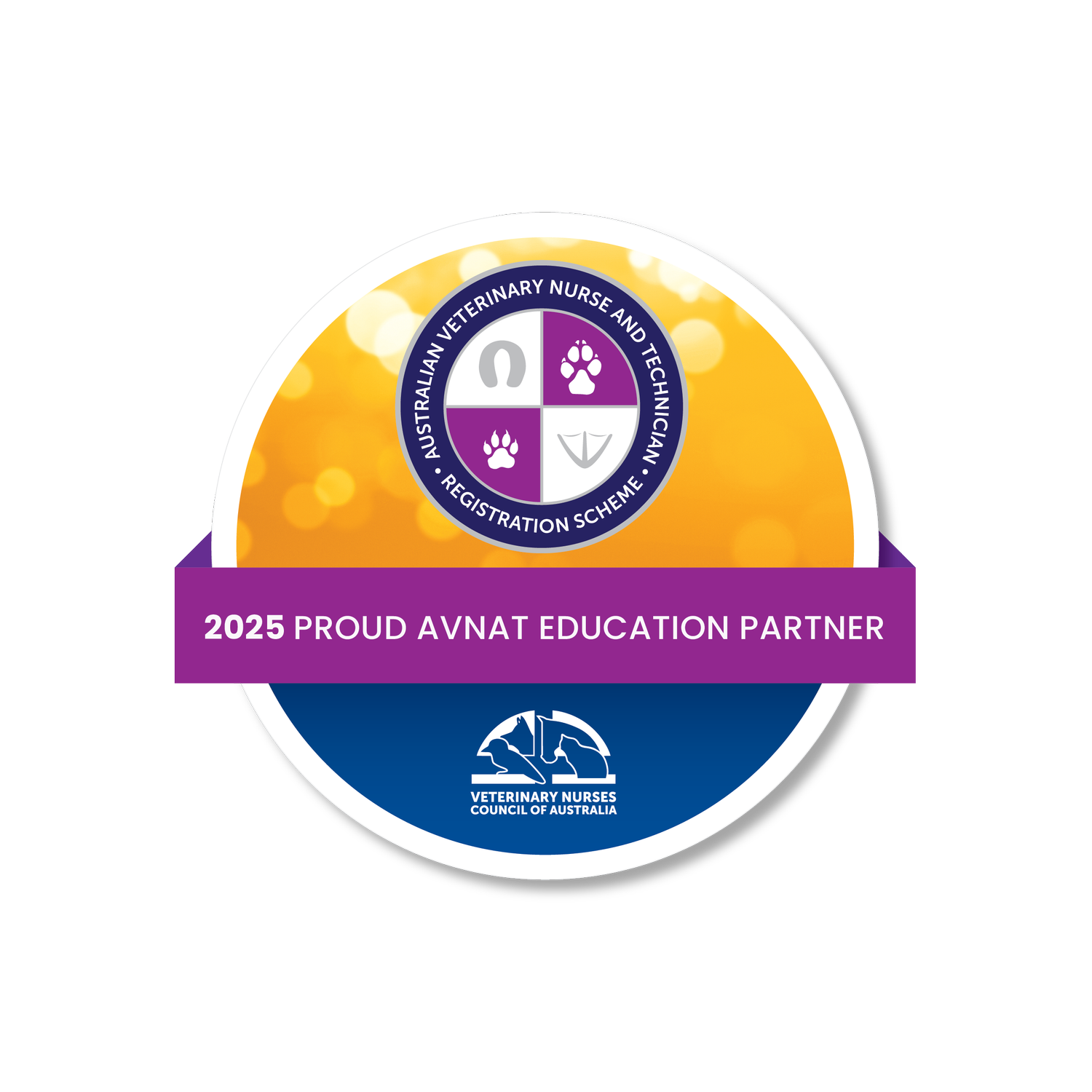 Everything you need to know about… IMHA — Veterinary Internal Medicine ...