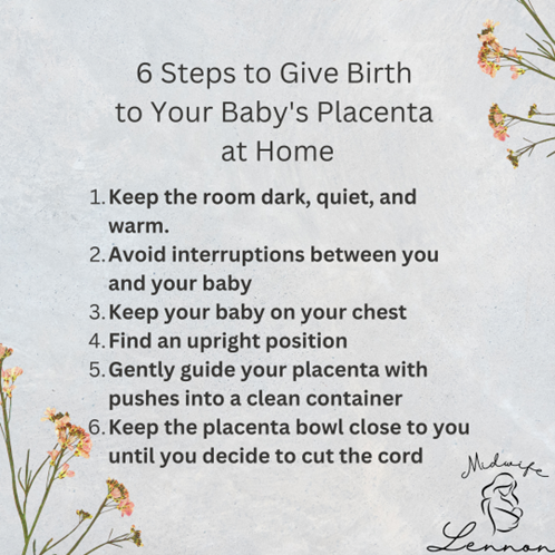 Birth of the Placenta - a physiological approach — Lennon Clark, CPM ...