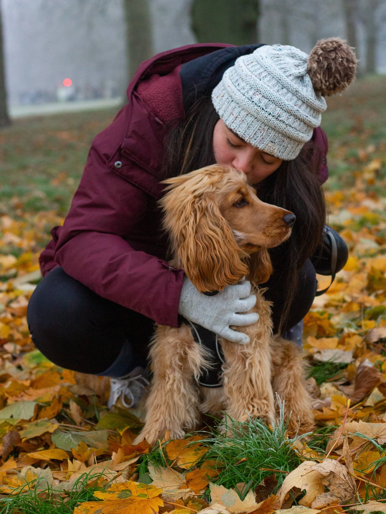 World Traveling Pet Sitters | Nomads and Pawpads