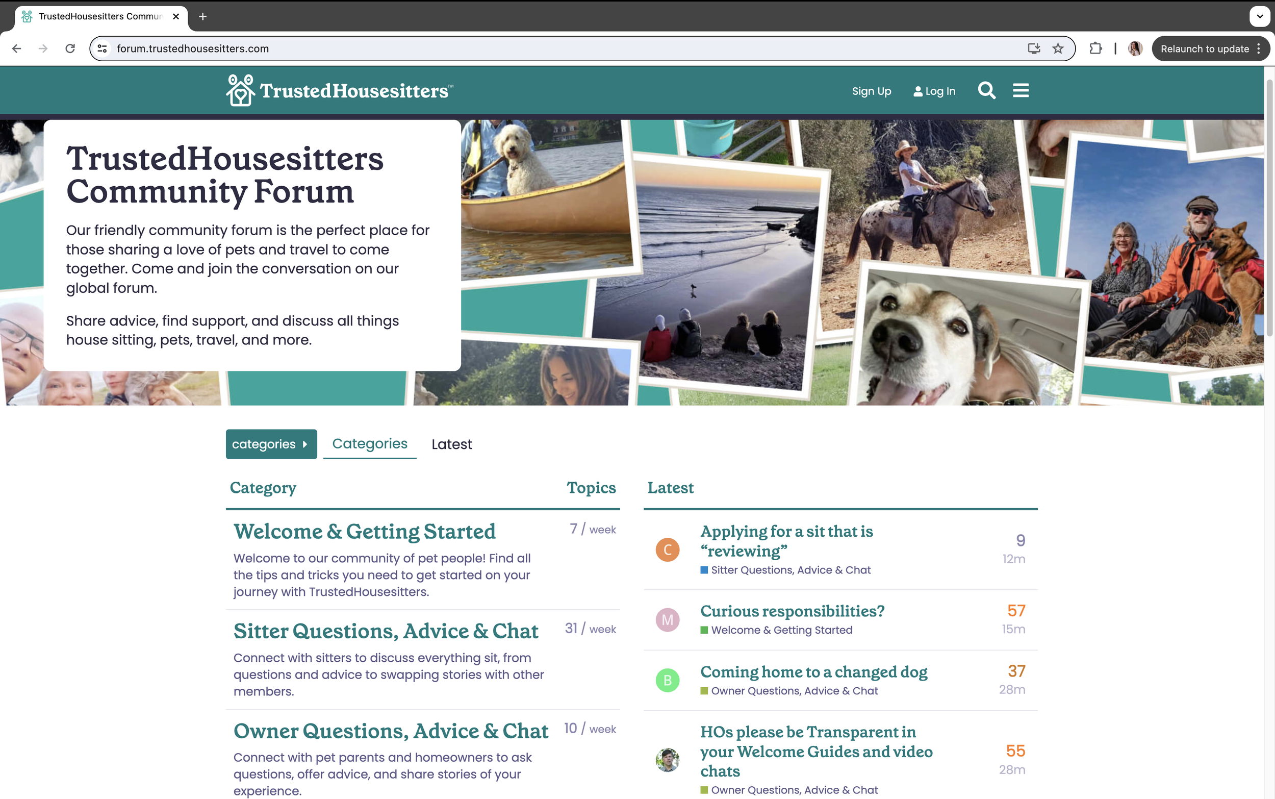 World Traveling Pet Sitters | Nomads and Pawpads